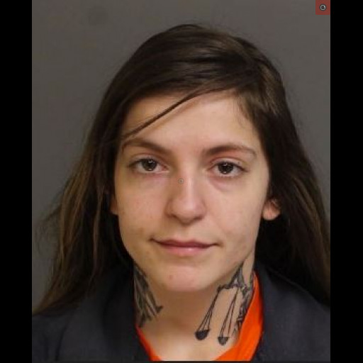 Woman sentenced for South Renovo home invasion | News, Sports, Jobs ...